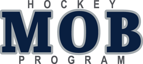 HSL - Hockey Super League