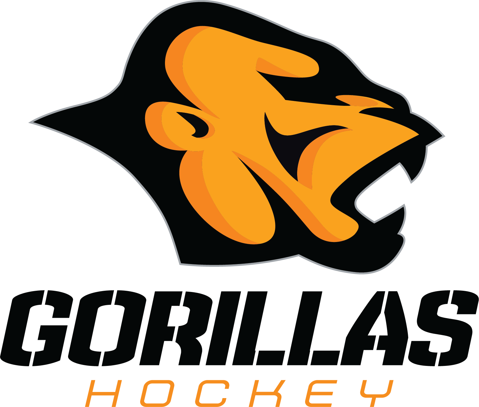 HSL - Hockey Super League